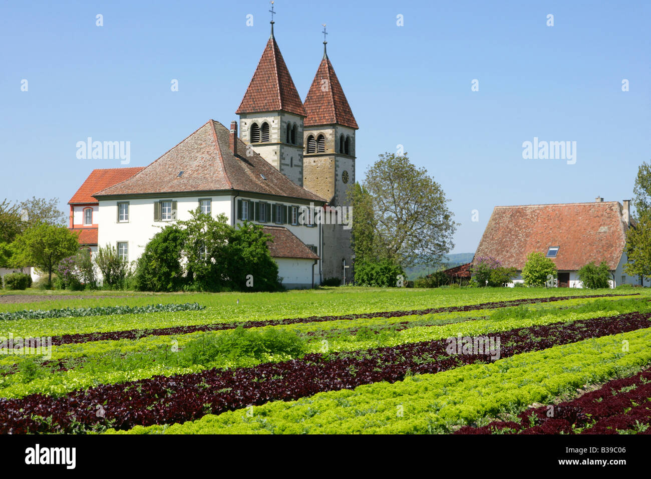 Deutschland, Insel Reichenau am Bodensee, Germany, island Reichenau at ...