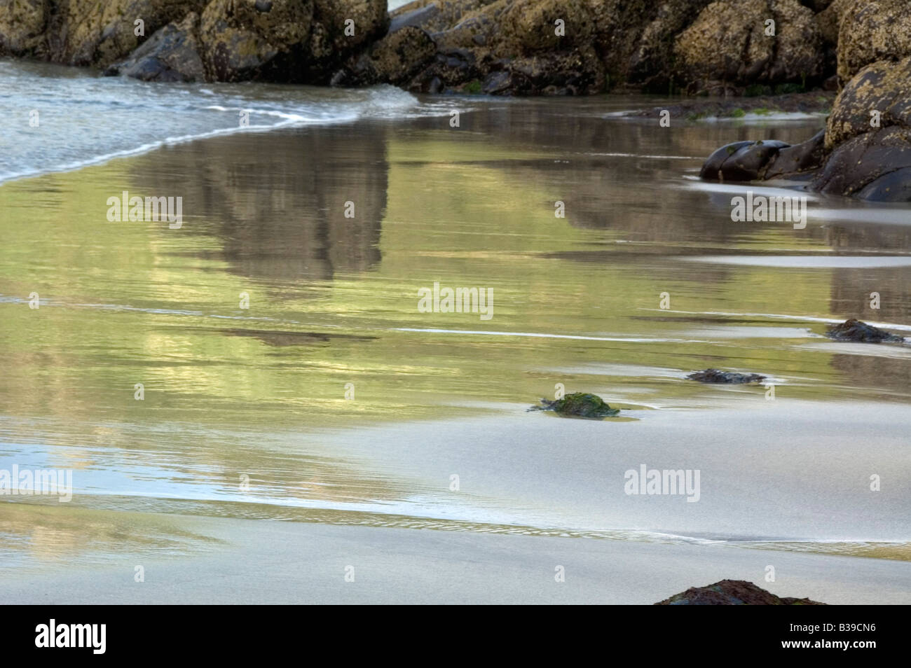 Wet Sand Reflections at Porthbeer Cove Coverack Cornwall England UK ...