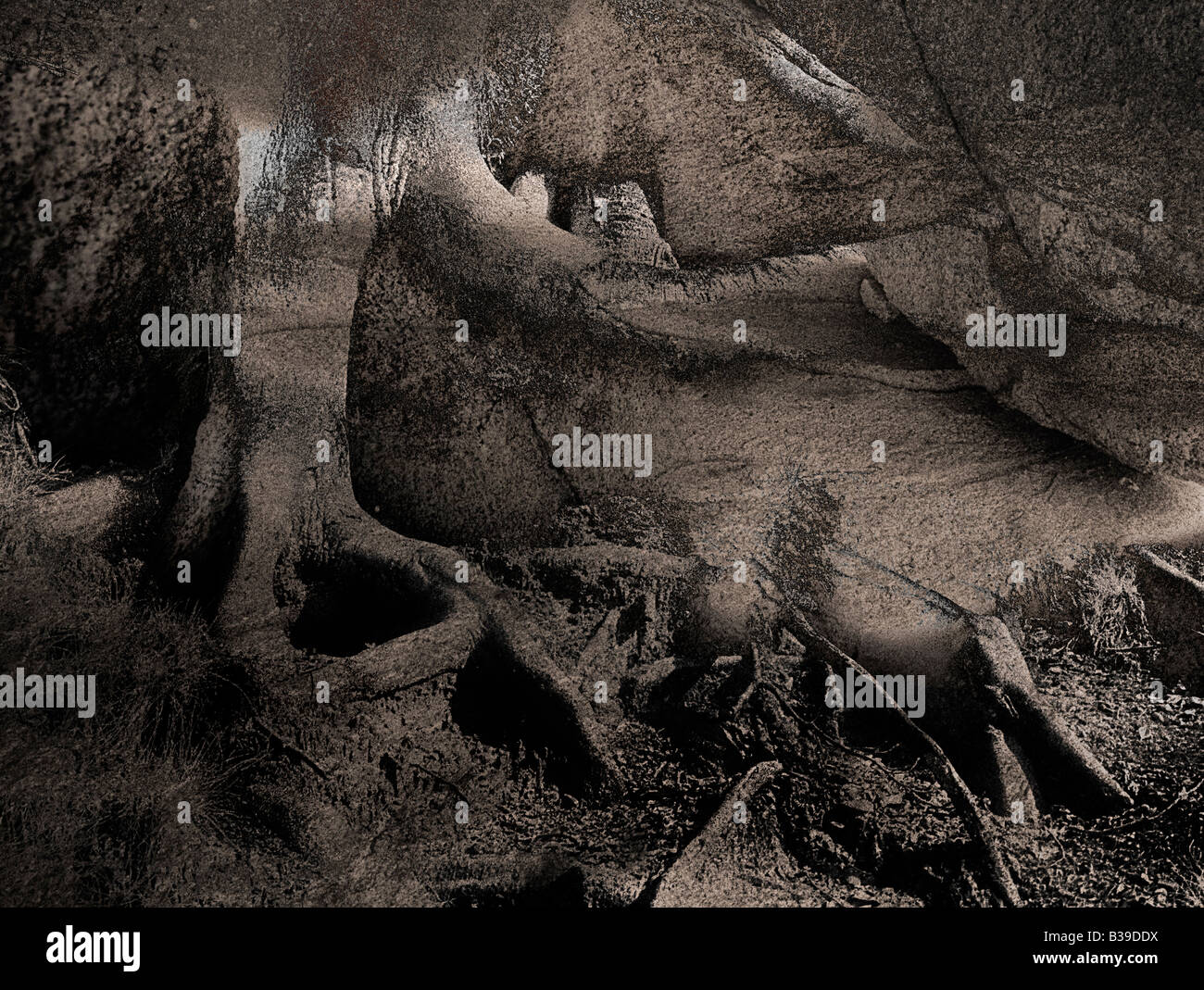 Fantasy cave hi-res stock photography and images - Alamy