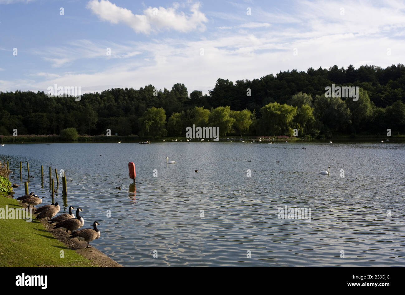 Moses Gate Country Park Farnworth Bolton Stock Photo - Alamy