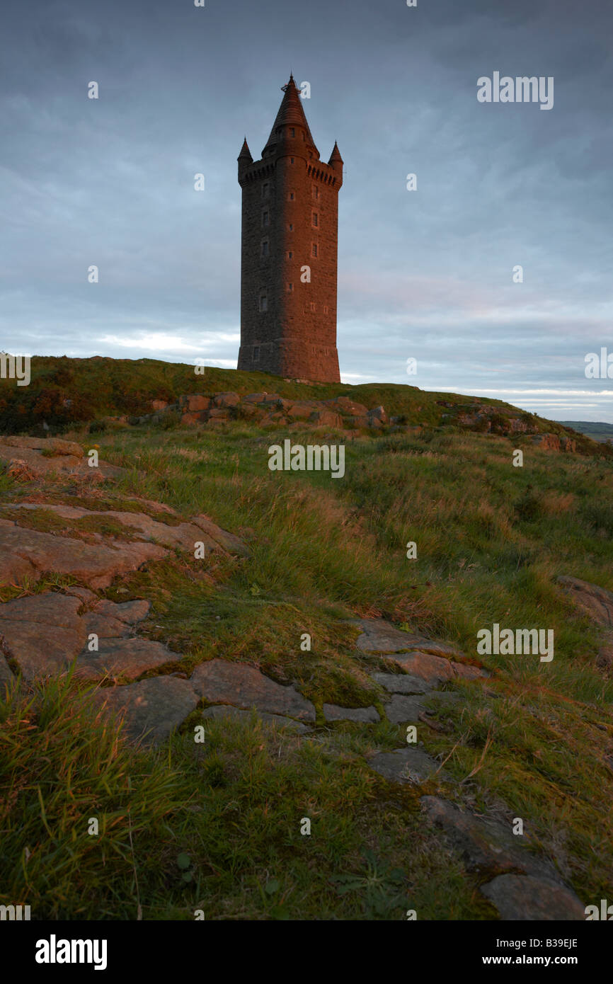 scrabo tower newtownards northern ireland in early morning light Stock ...