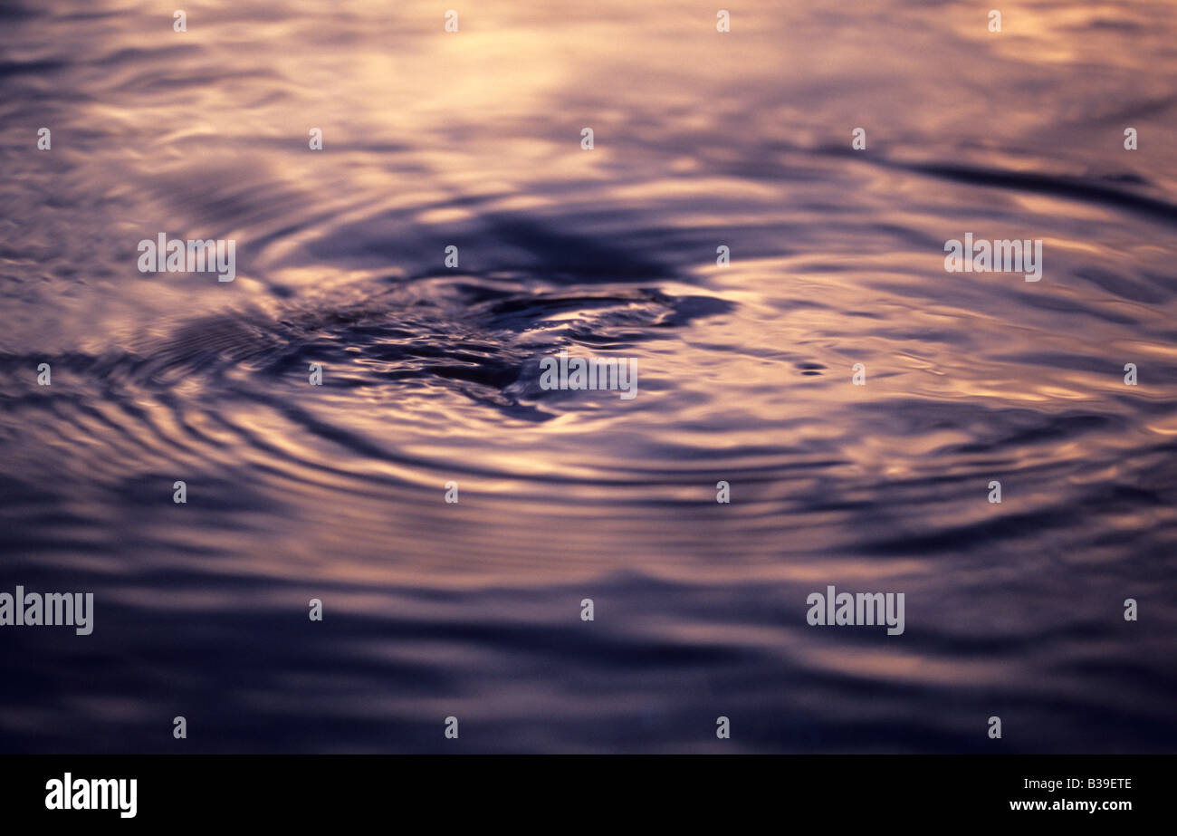 Arranged in circular patterns hi-res stock photography and images - Alamy