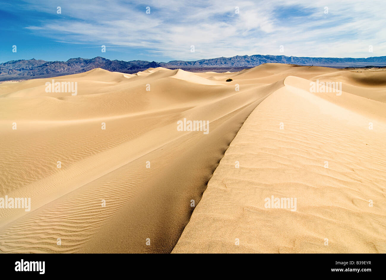 Panoramic view of endless sand dunes in Death Valley National Park ...