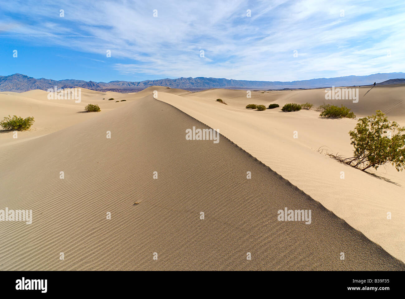 Sand Dune ridge in Death Valley National Park Stock Photo - Alamy