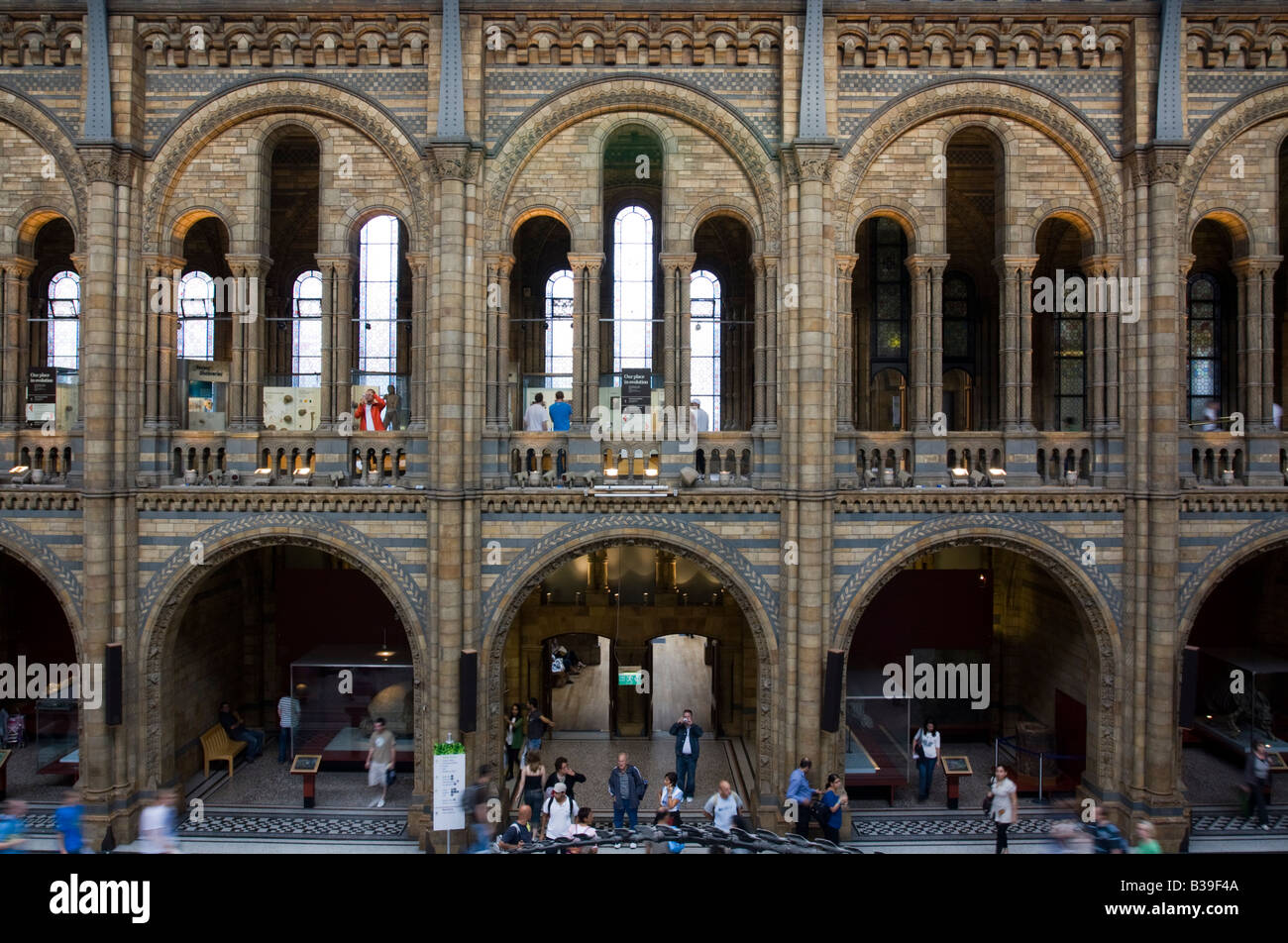 Victorian hall tiles hi-res stock photography and images - Alamy
