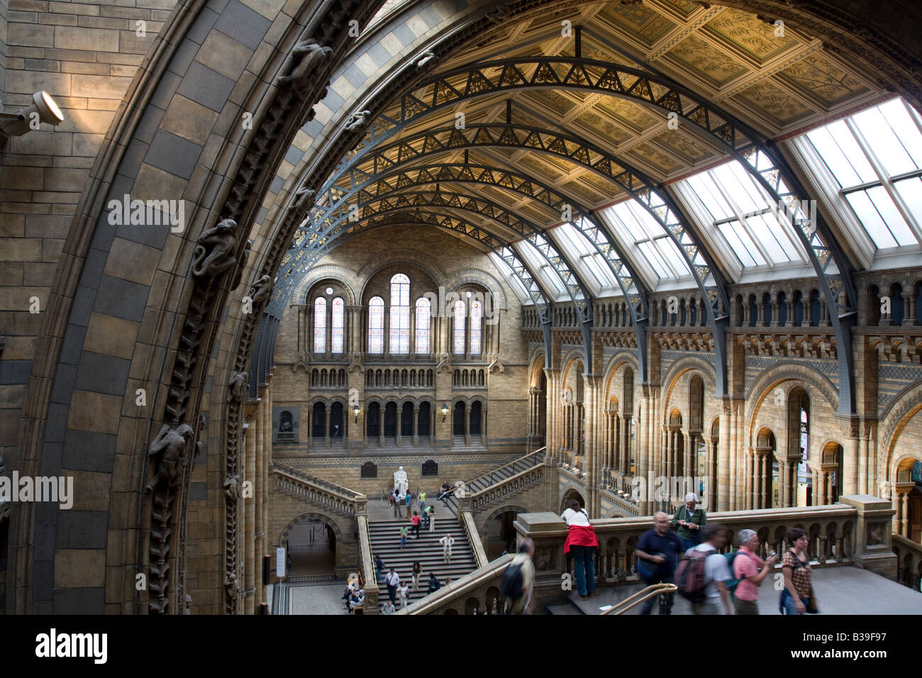 Main hall Natural History Museum London Stock Photo - Alamy
