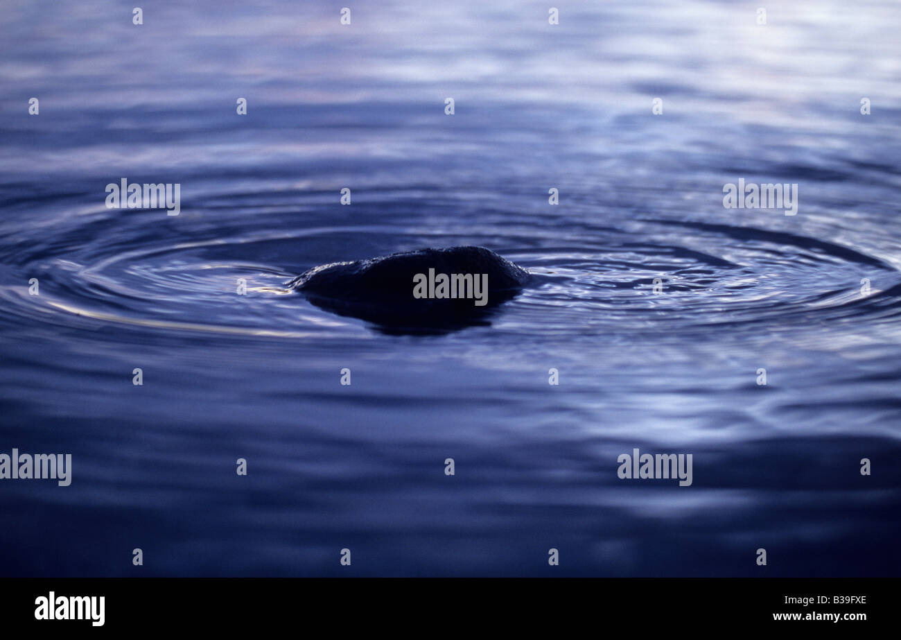 Waves of a circle hi-res stock photography and images - Alamy