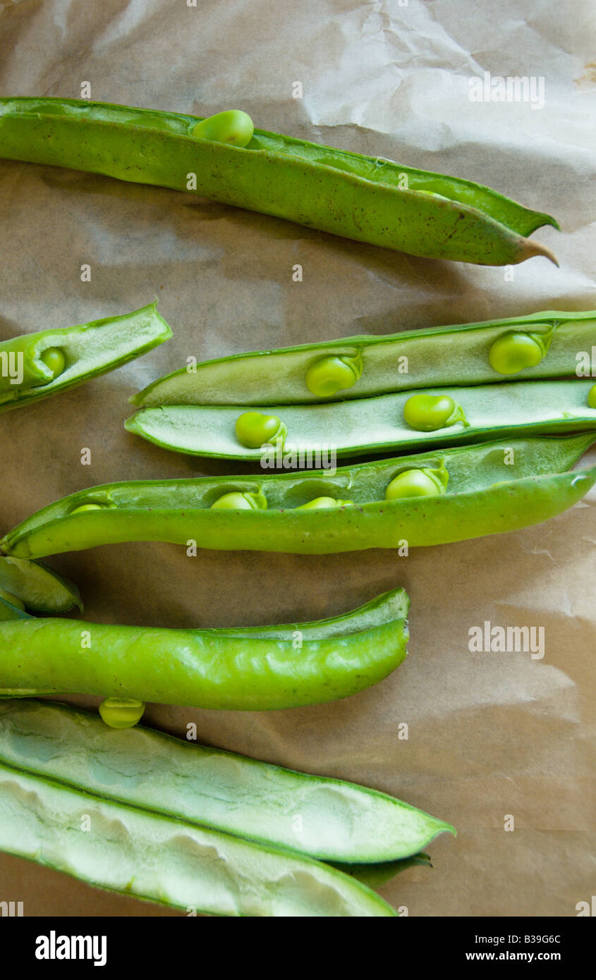 Fresh young British broad beans split open on the brown paper bag they ...