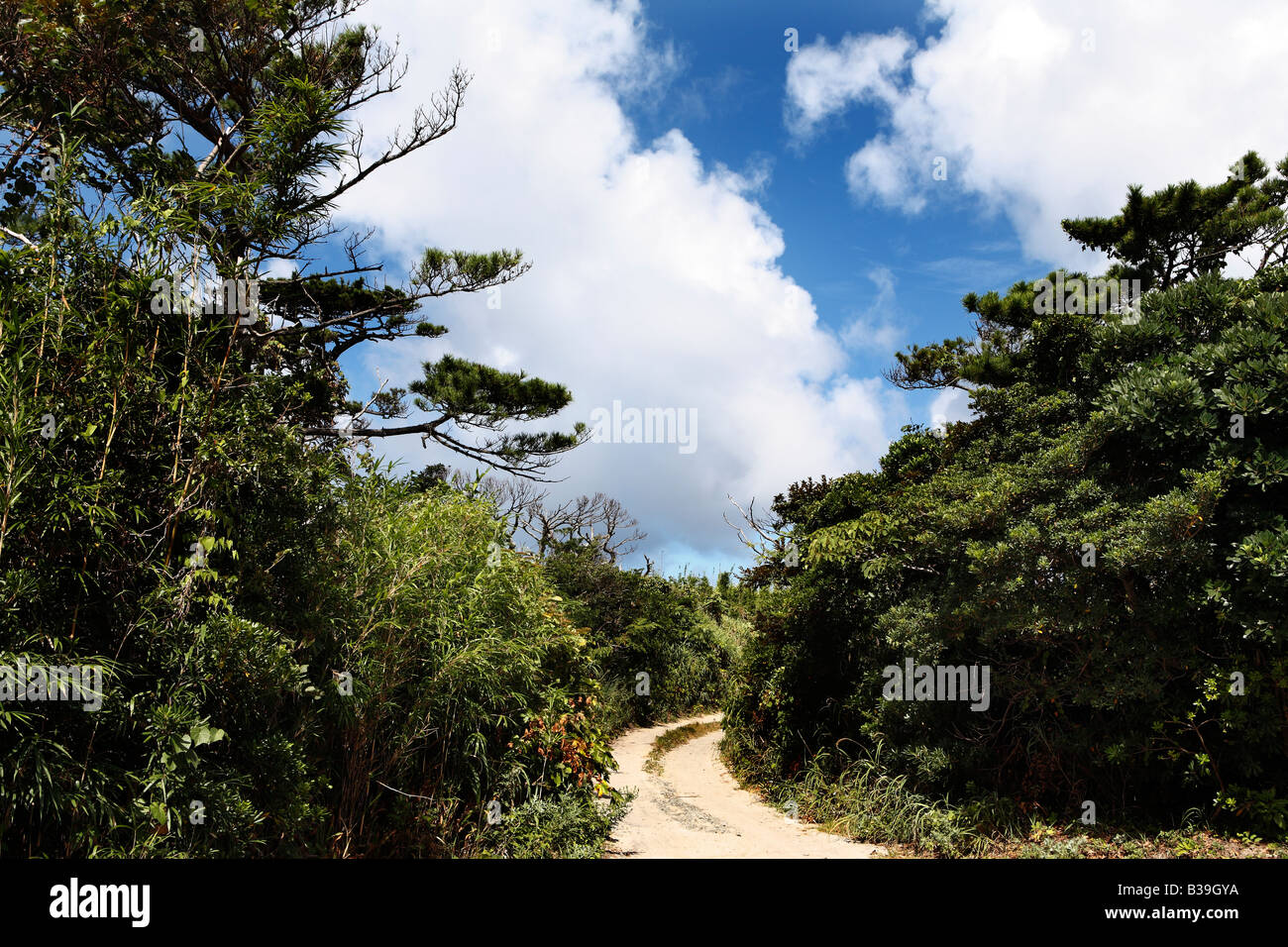 Shikinejima island onsen hi-res stock photography and images - Alamy