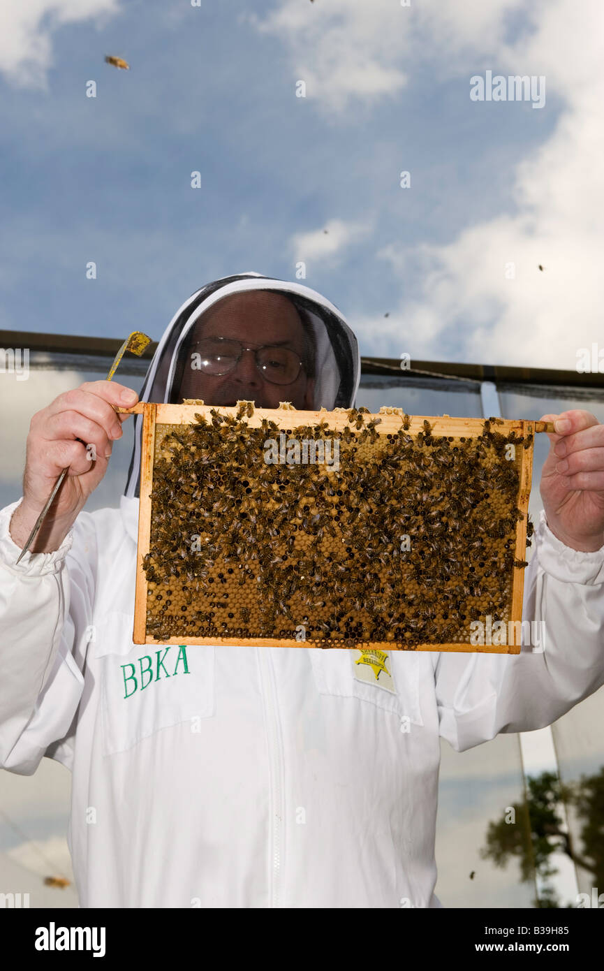 British bee hive hi-res stock photography and images - Alamy