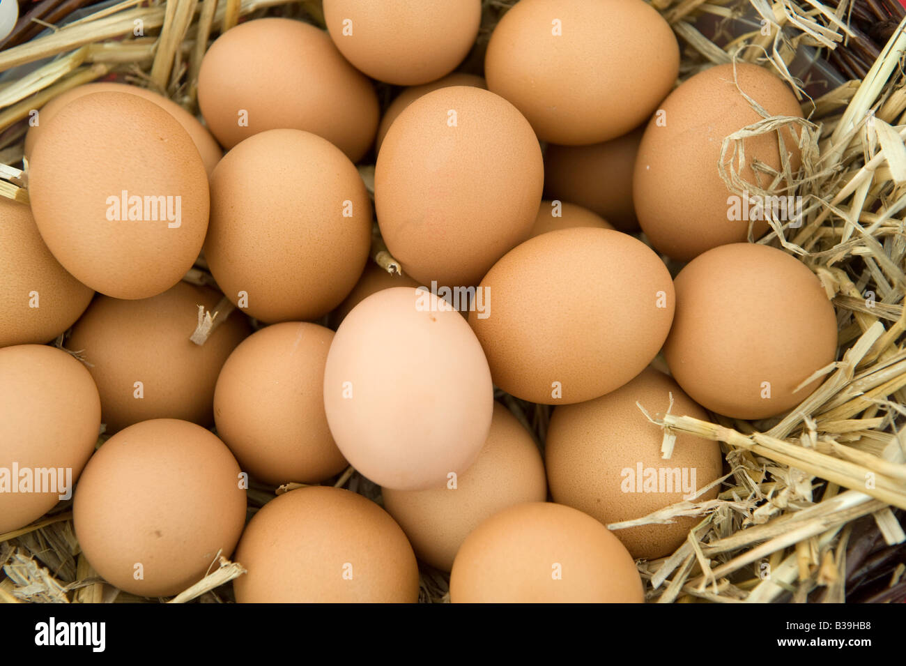 Free range eggs hi-res stock photography and images - Alamy
