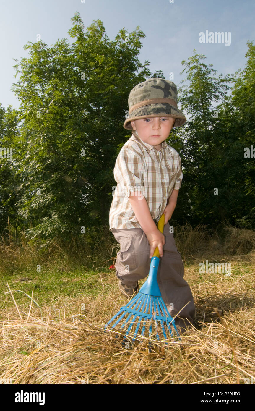 Small boy raking hay Stock Photo - Alamy