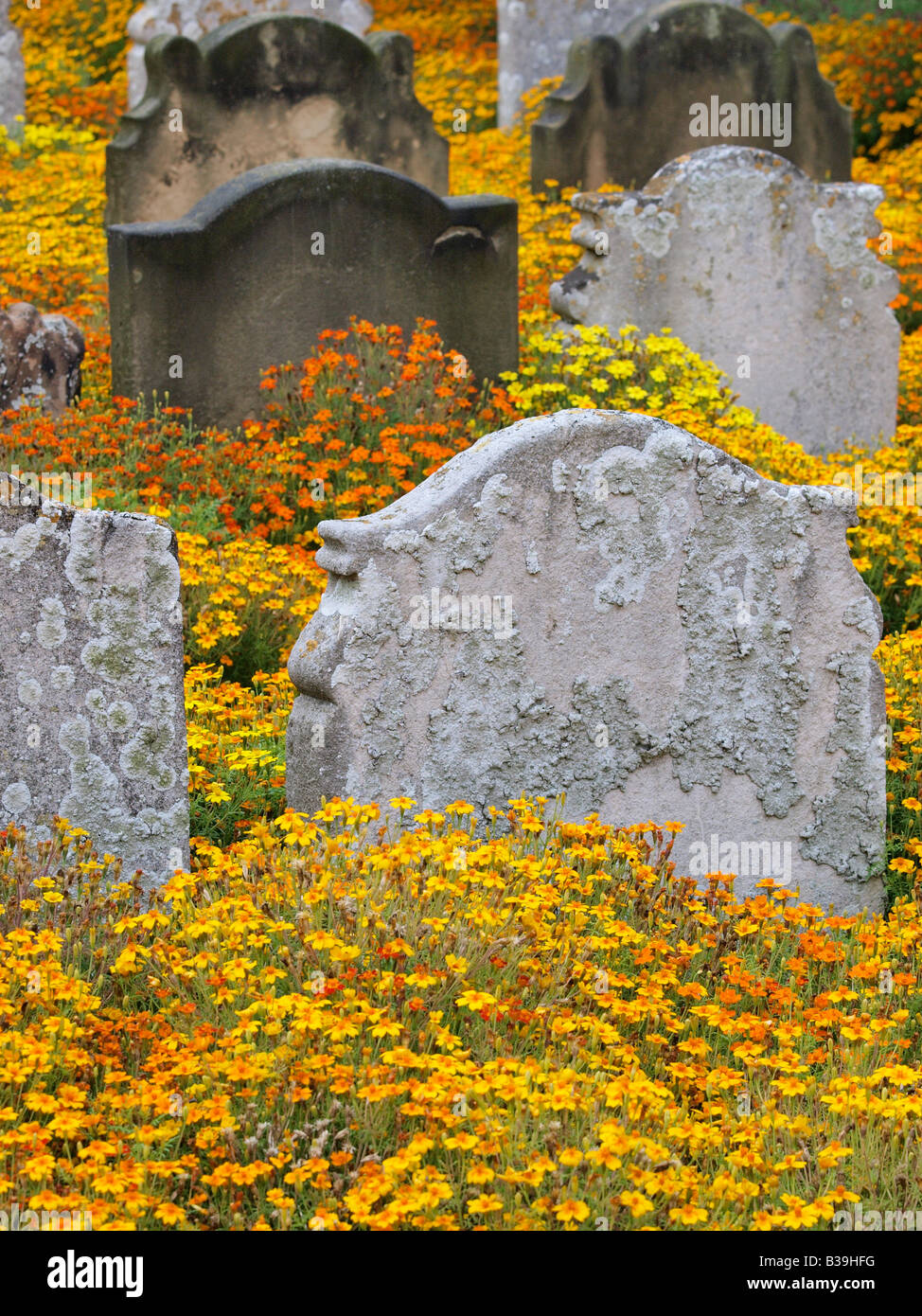 GRAVE STONES SURROUNDED WITH BEDS OF FLOWERS AT PARISH CHURCH AT CROMER ...
