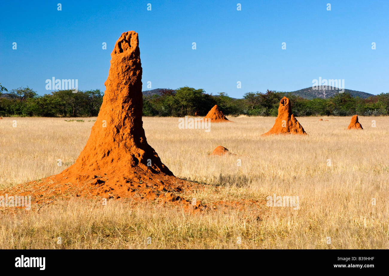 A Large Termite Mount in Namibia Stock Photo - Alamy