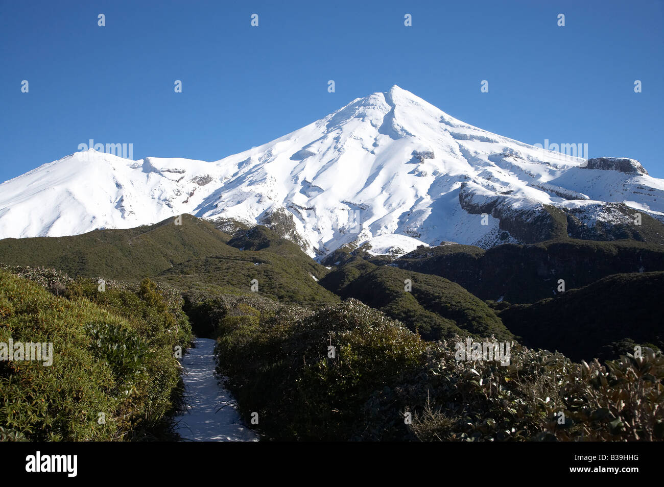 Track near Manganui Ski Area Mt Taranaki Mt Egmont Taranaki North ...