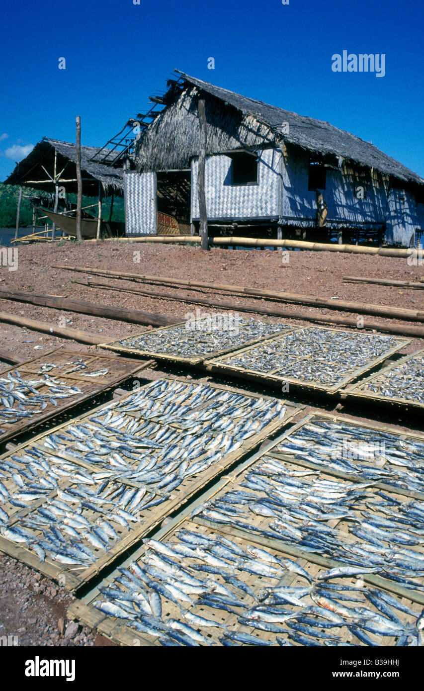 drying fish at honda bay palawan philippines Stock Photo - Alamy