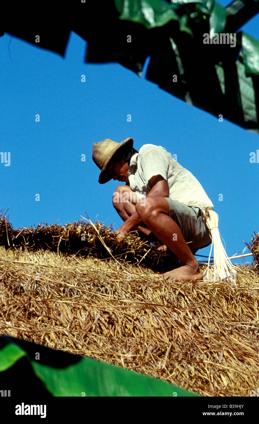 thatching roof with nipa palawan philippines Stock Photo - Alamy