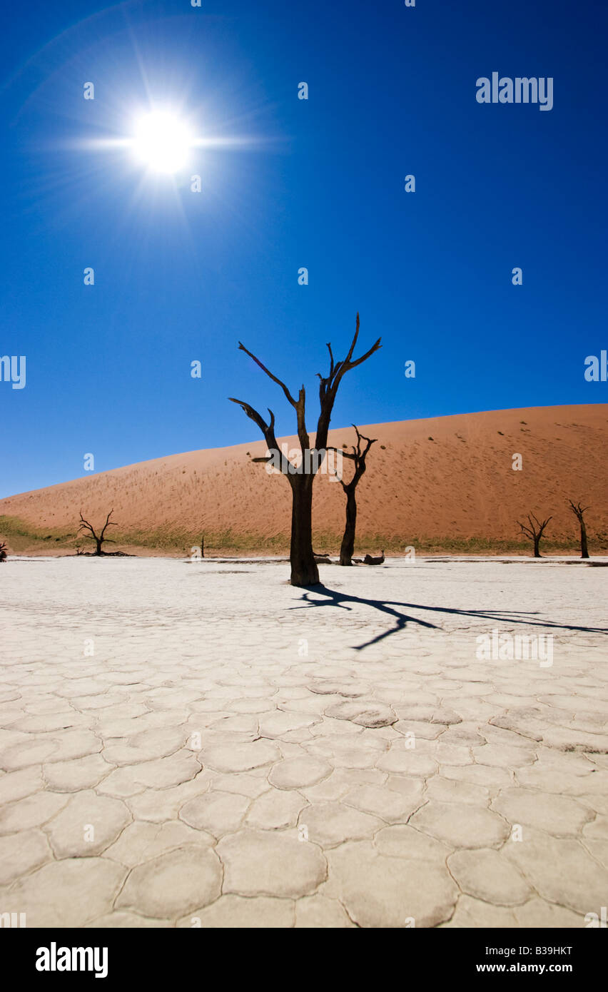 Deadvlei in the Namib-Naukluft National Park, Namibia Stock Photo - Alamy