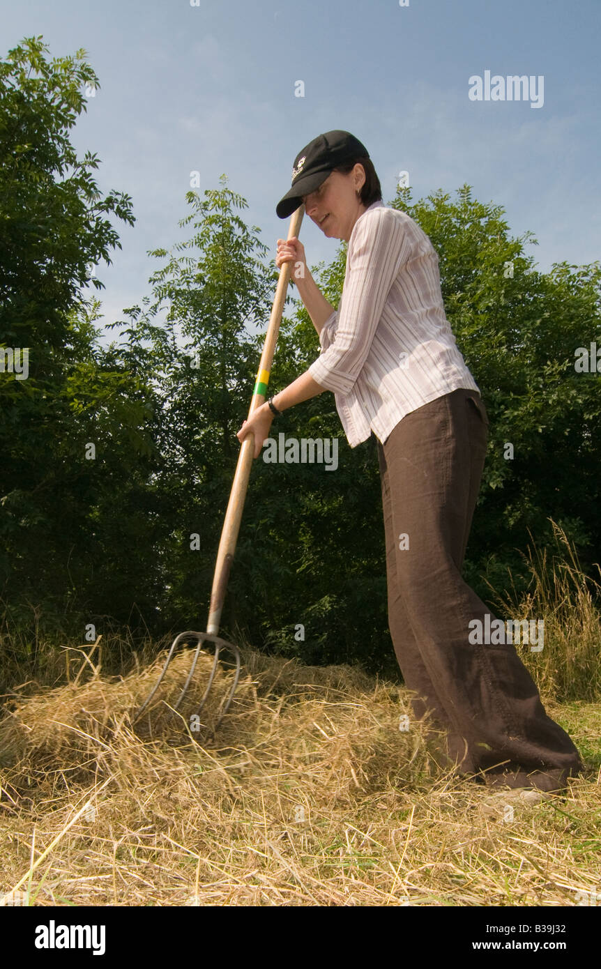 Raking hay hi-res stock photography and images - Alamy