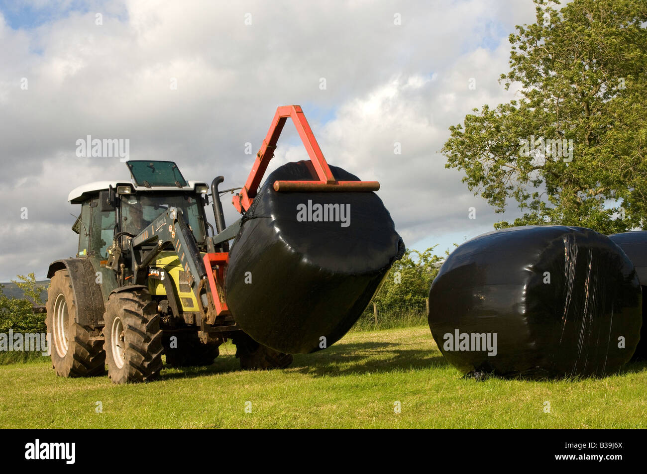 Round Baled Silage High Resolution Stock Photography and Images - Alamy