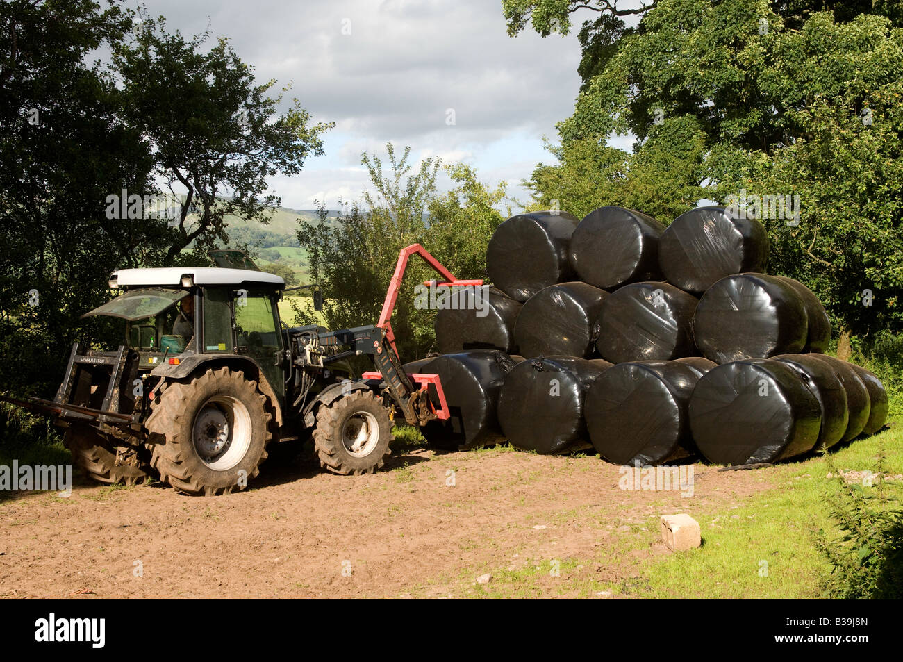 Hurlimann Tractor with loader stacking up big bales of silage wrapped ...