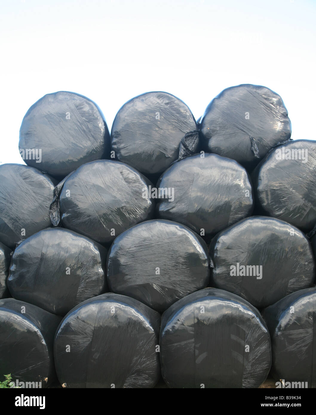 Stack of round hay bales in black plastic covers Stock Photo - Alamy