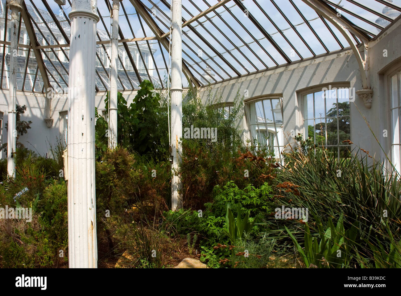 Inside the Temperate House at Kew Gardens London UK Stock Photo - Alamy