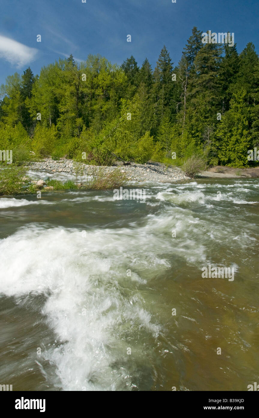 Steelhead provincial park hi-res stock photography and images - Alamy