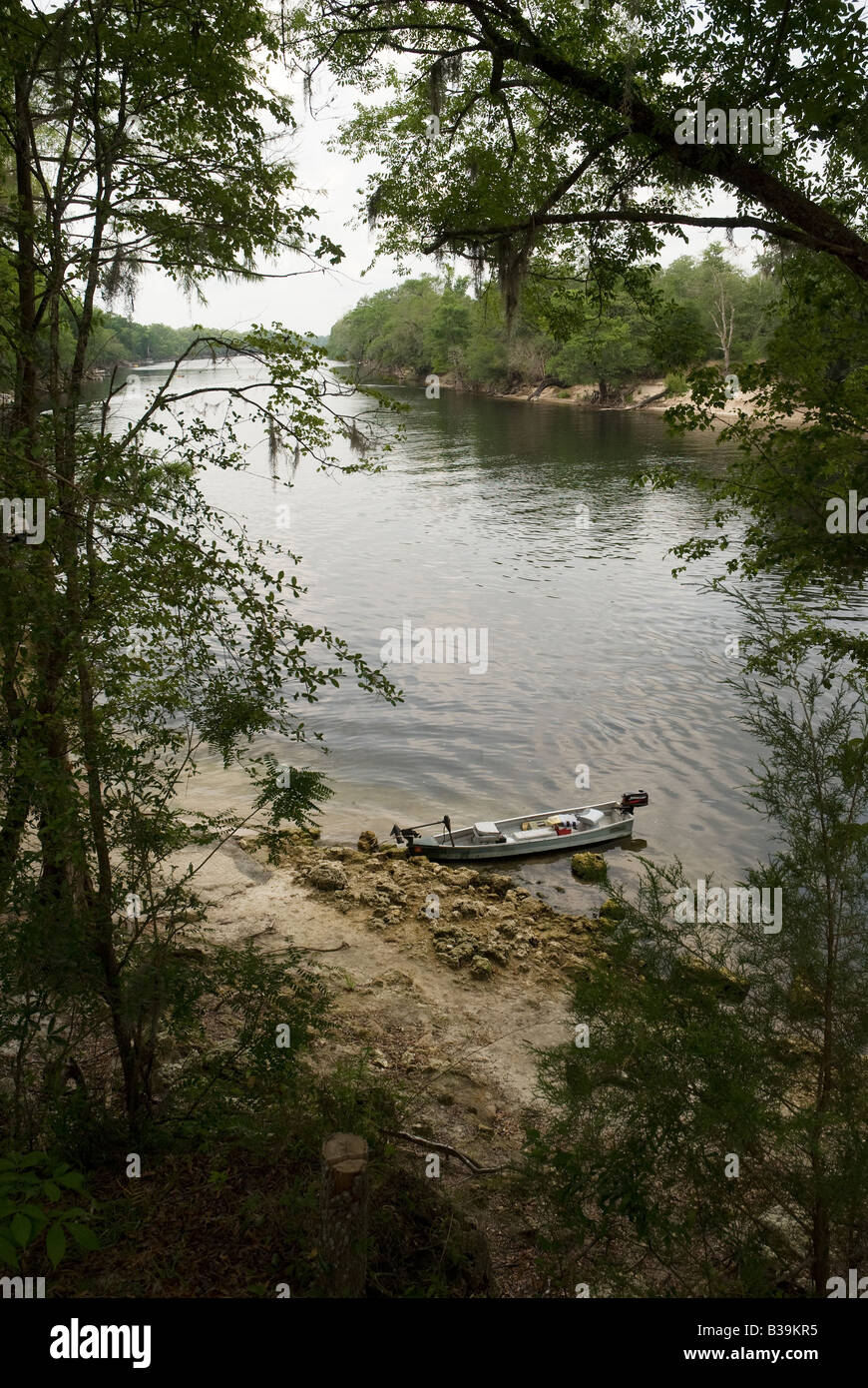 scenic overlook of the Suwannee River at Rock Bluff North Florida Stock ...