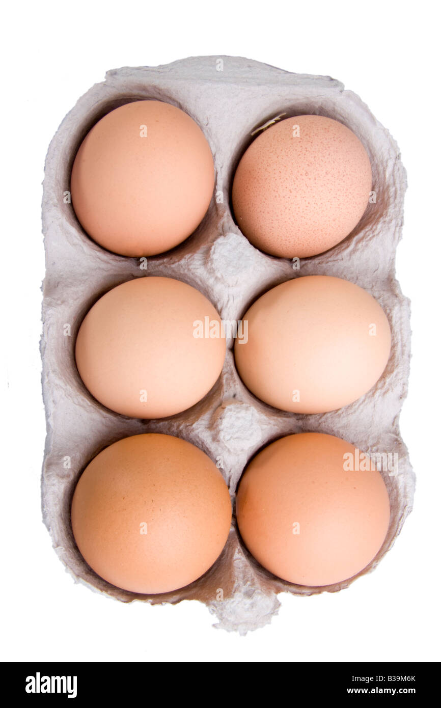 Six organic free range eggs in a compressed fibreboard moulded egg ...