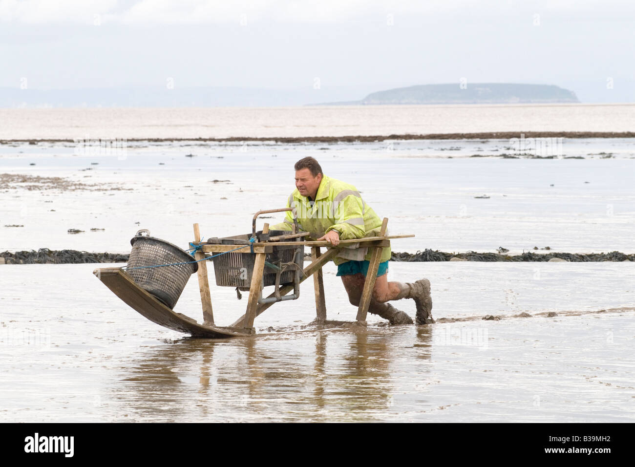 Mudhorse Mud Horse fishermen shrimp fishing UK. Adrian Sellick fishing ...