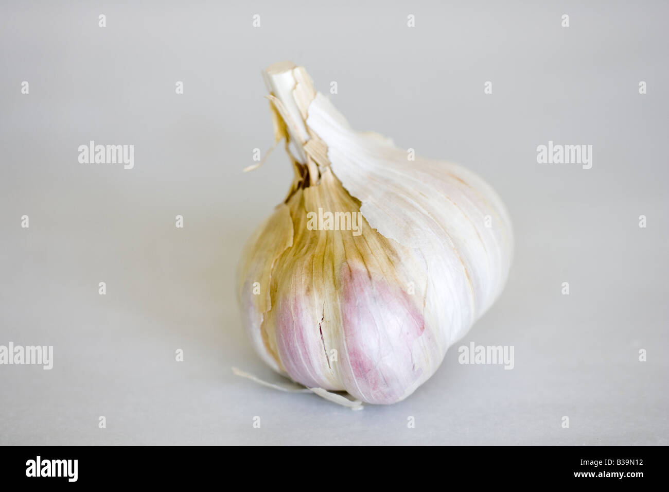 Bulb of garlic, Spain Stock Photo - Alamy