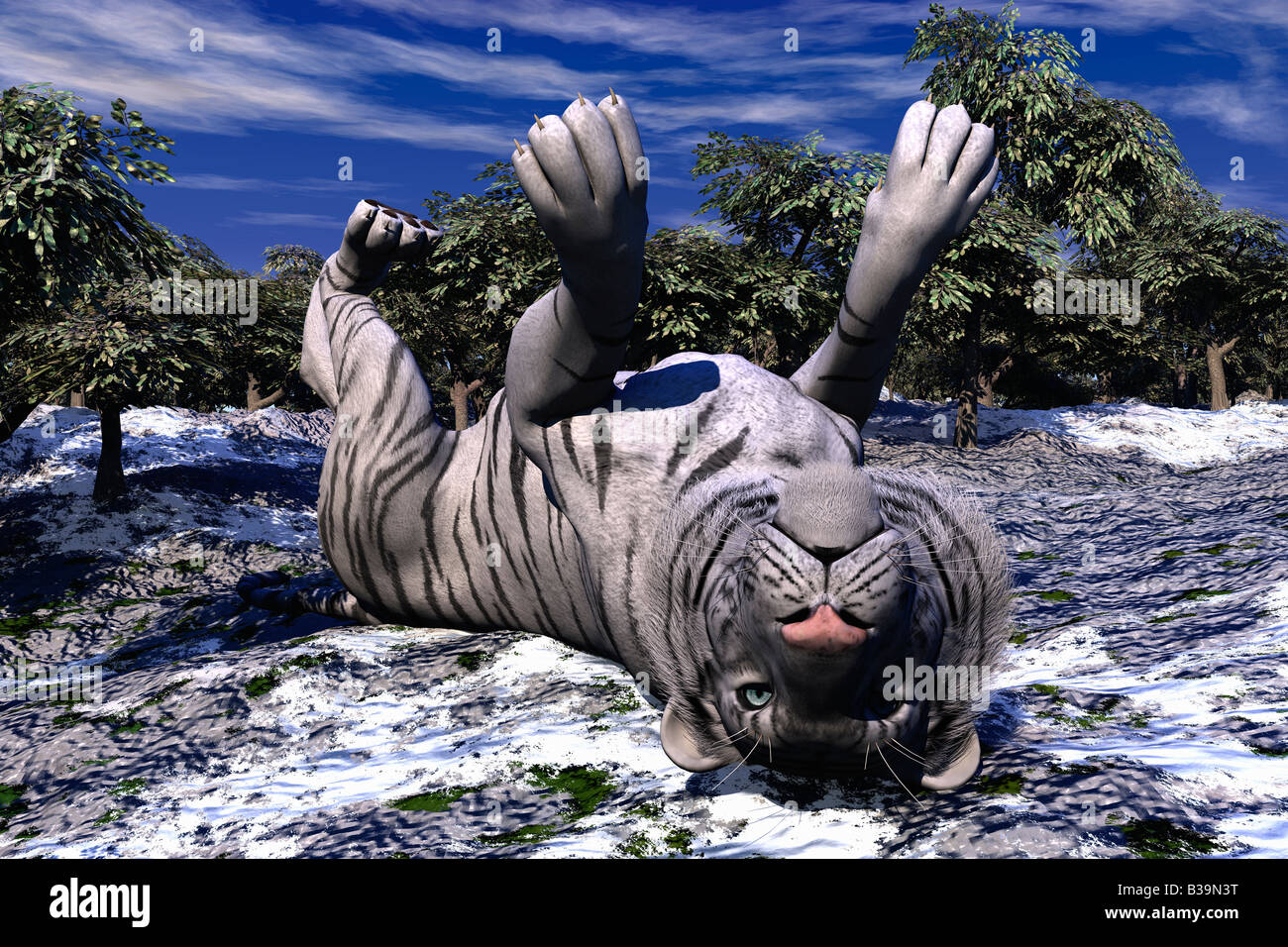 Computer Illustration Of A Snow Tiger Rolling On Floor Stock Photo - Alamy