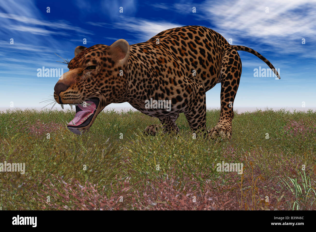Leopard Grass Run Closeup Of Indian Wild Male Leopard Or Panther In