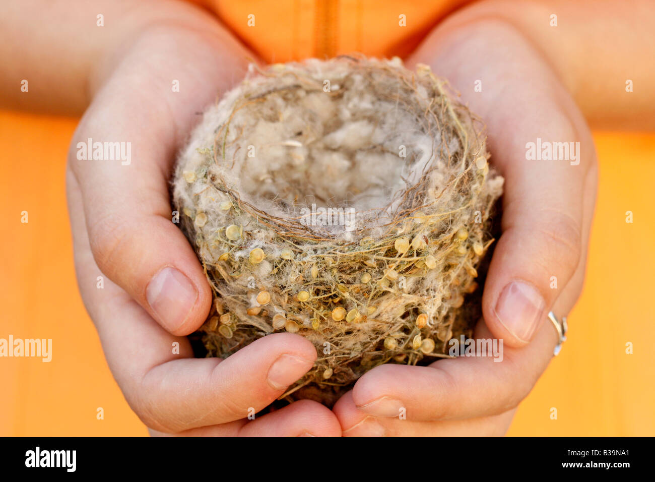 Empty Nest Syndrome Stock Photos & Empty Nest Syndrome Stock Images - Alamy