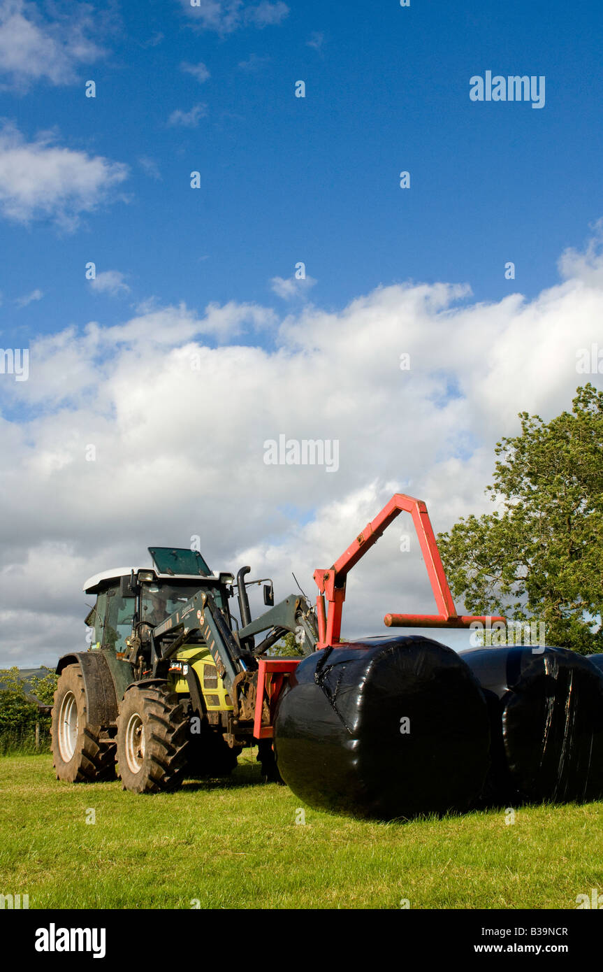 Hurlimann Tractor with loader picking up big bales of silage wrapped in ...