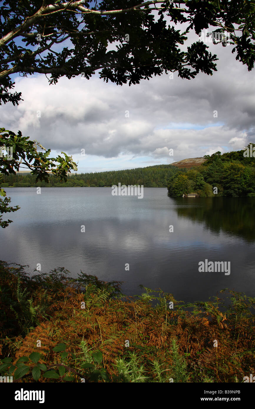 Devon water hi-res stock photography and images - Alamy
