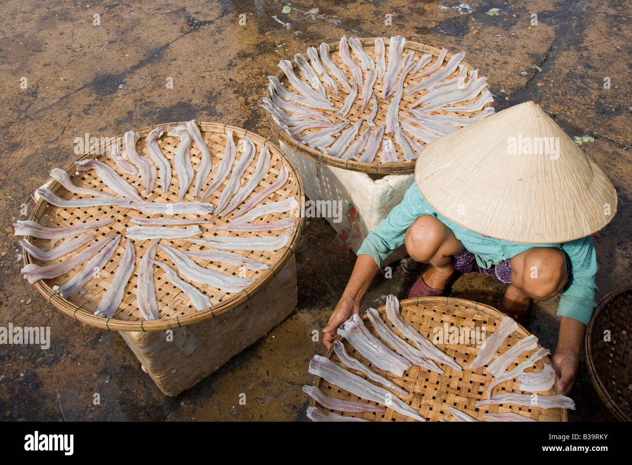 Drying seafood seafood hi-res stock photography and images - Alamy