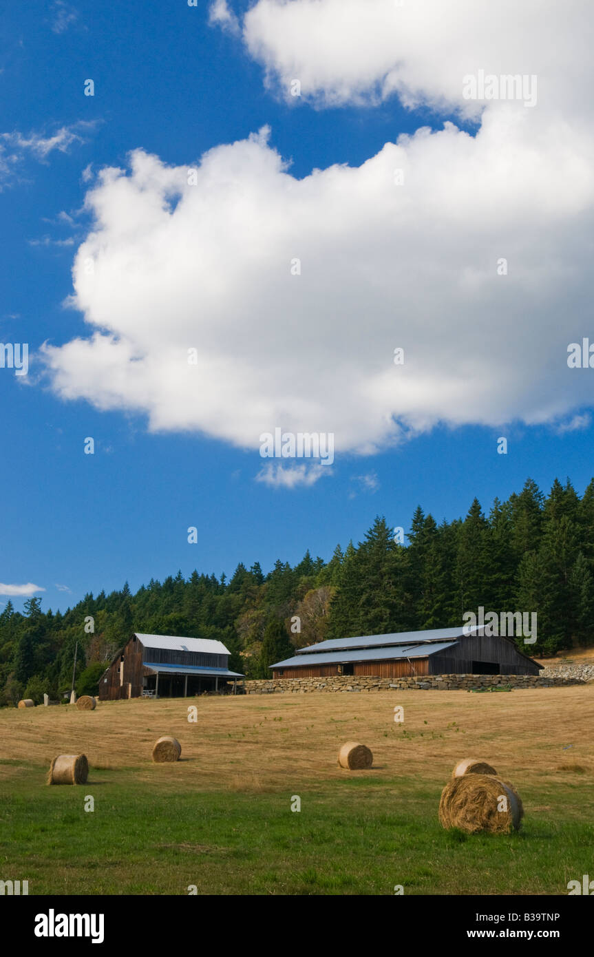 Rural and pastoral scenery hi-res stock photography and images - Alamy