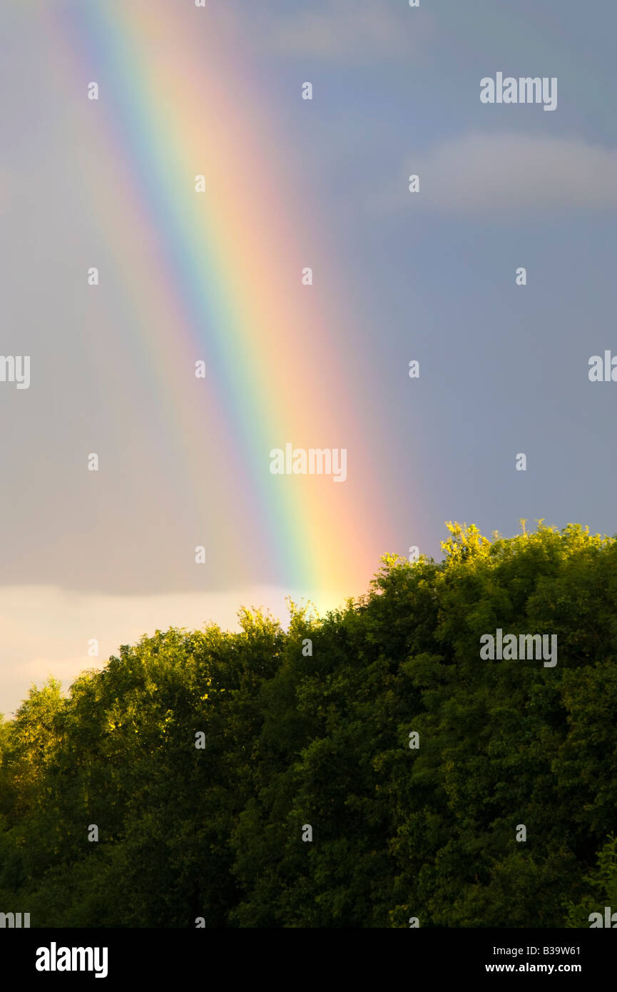 rainbow spectrum light storm rain sunset tree trees country countryside ...