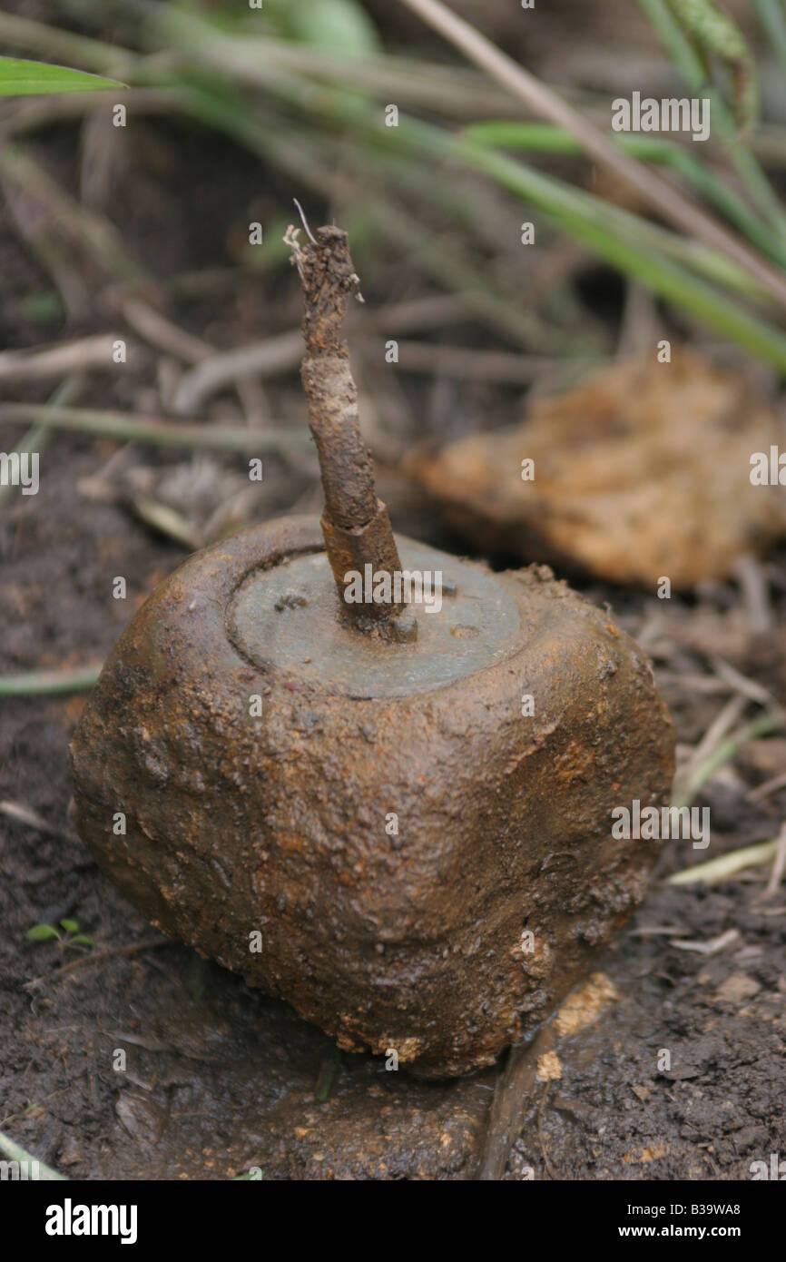 Nong het district hi-res stock photography and images - Alamy