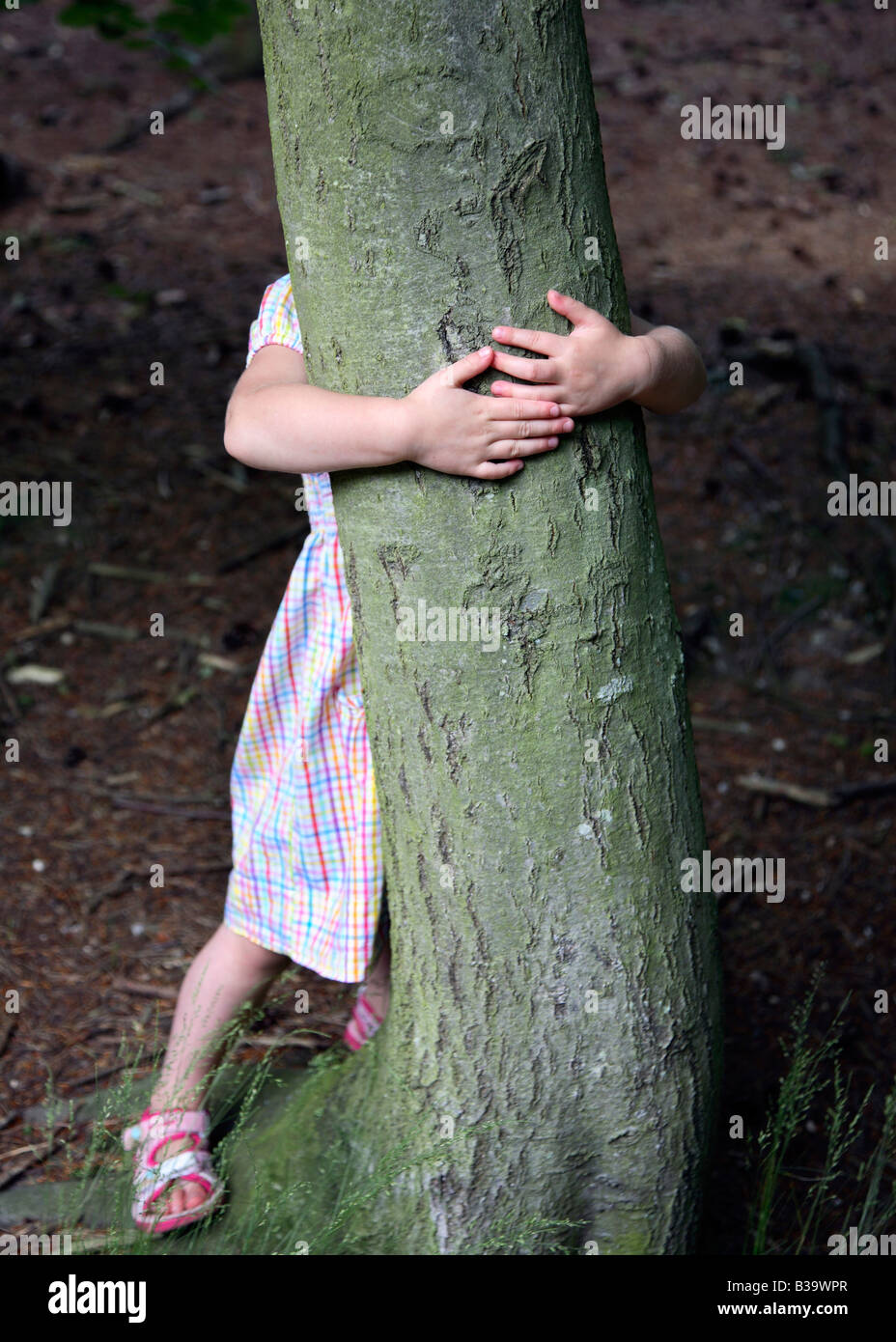 Little girl hugging a tree Stock Photo - Alamy