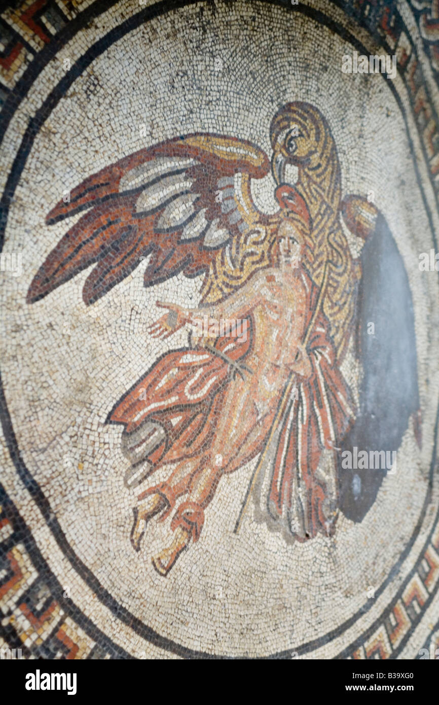Roman Mosaic Britain High Resolution Stock Photography and Images - Alamy