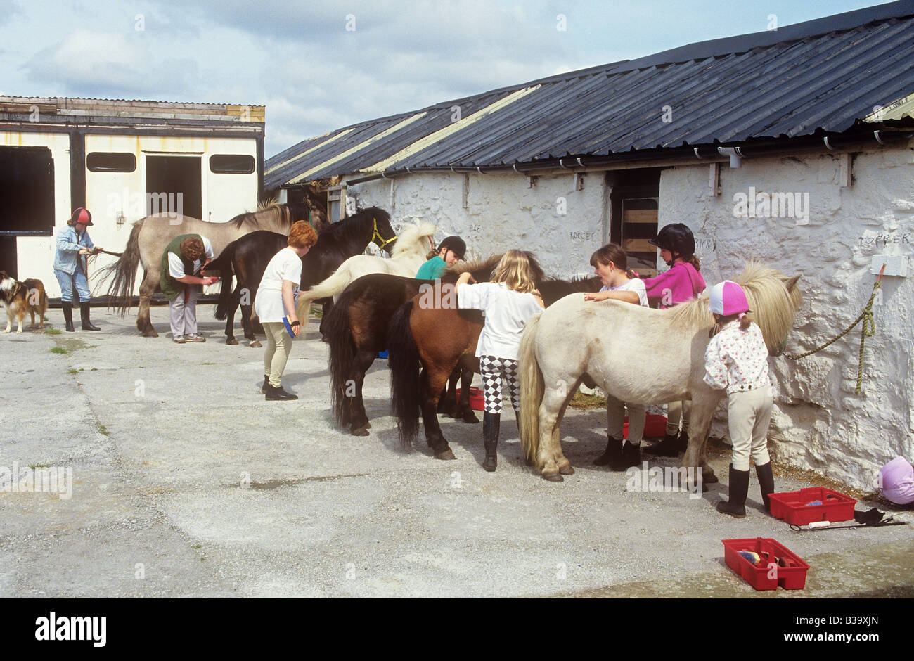 riding school: shetland ponies with children Stock Photo - Alamy