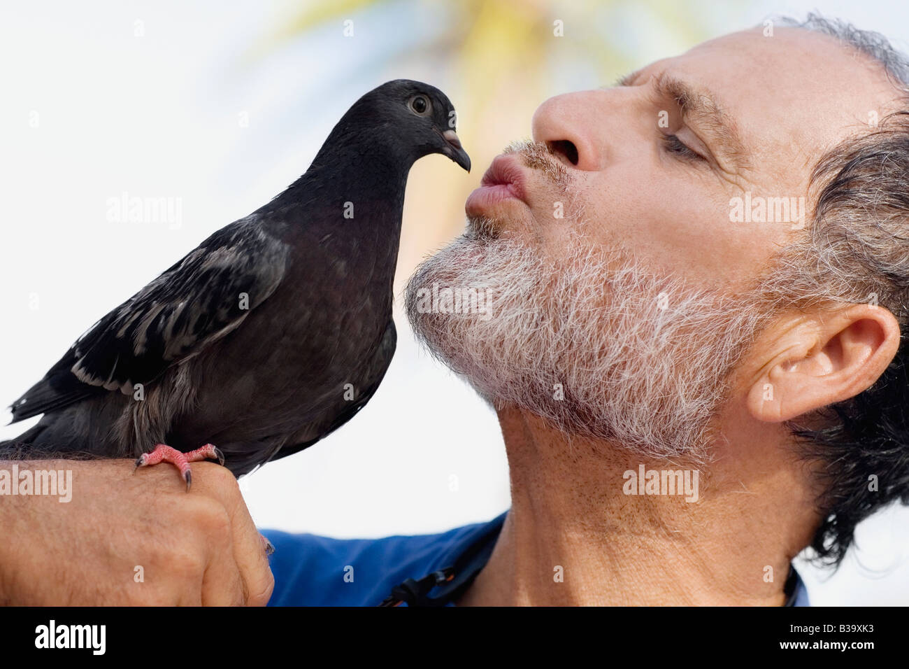 Man kissing bird Stock Photo - Alamy