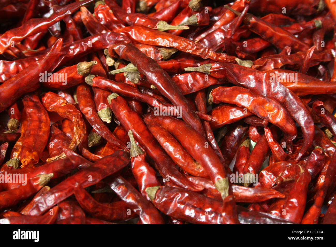 Thai green chilli hi-res stock photography and images - Alamy
