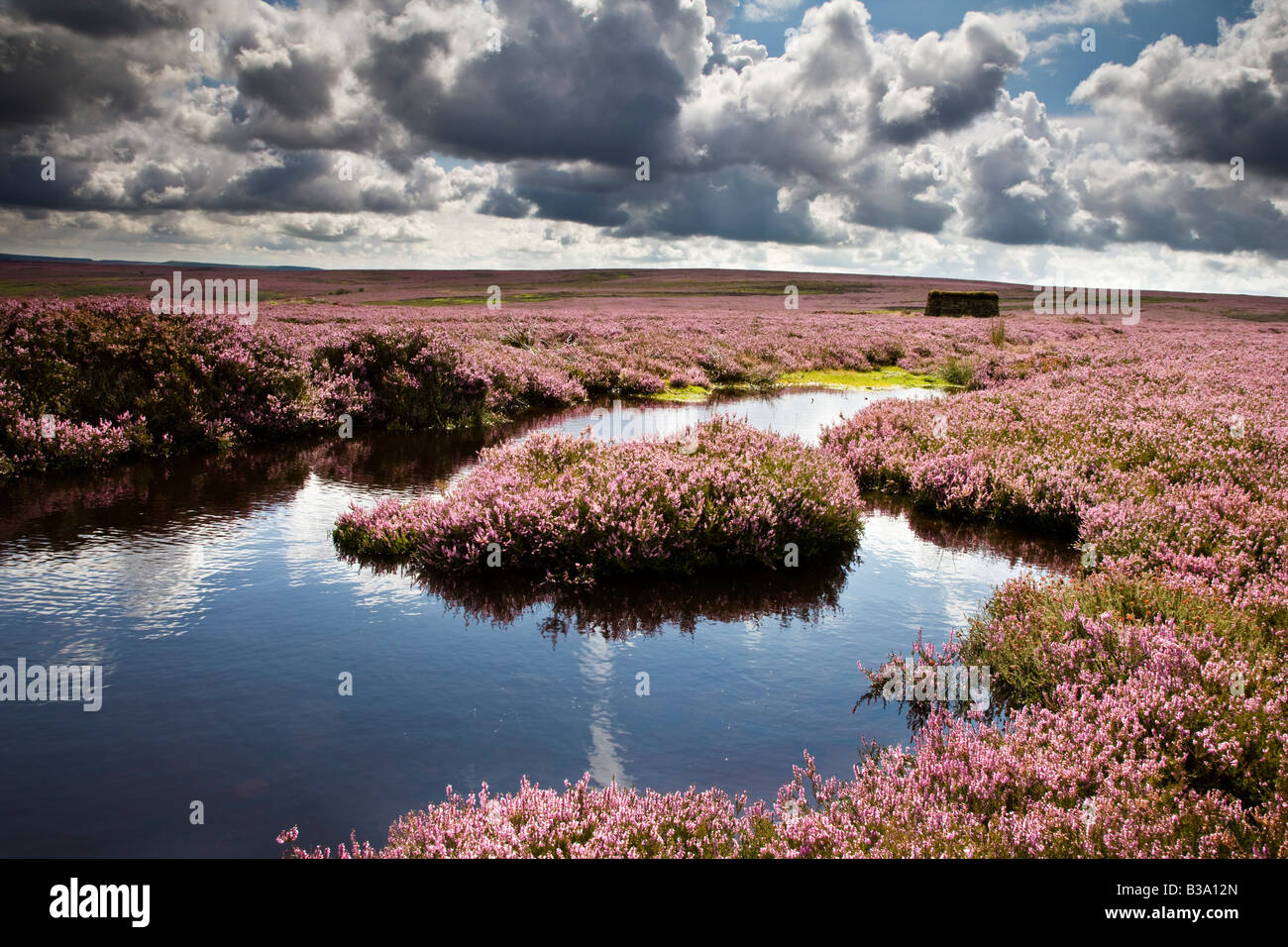 Peat Moors North York High Resolution Stock Photography and Images - Alamy