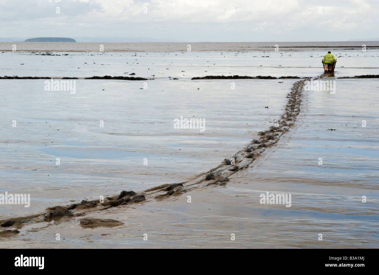 Mud horse hi-res stock photography and images - Alamy