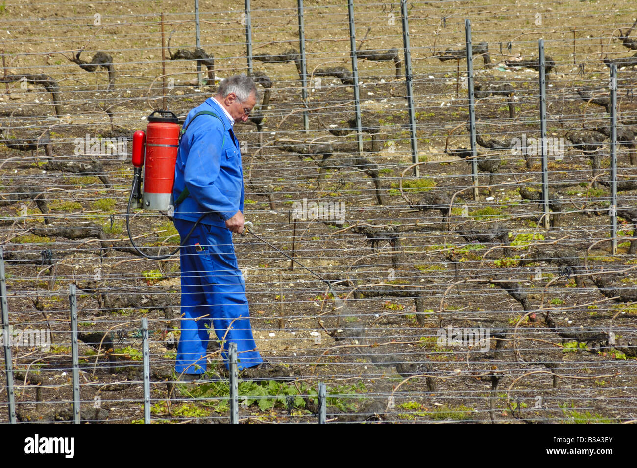Spraying pesticide vineyard hi-res stock photography and images - Alamy
