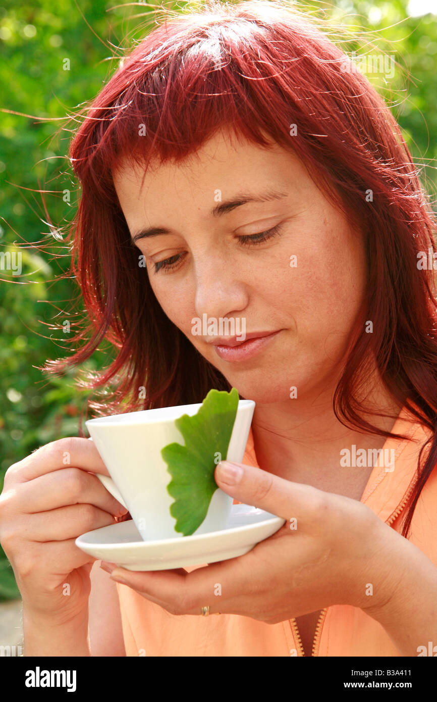 Ginkgo leaf detail hi-res stock photography and images - Alamy